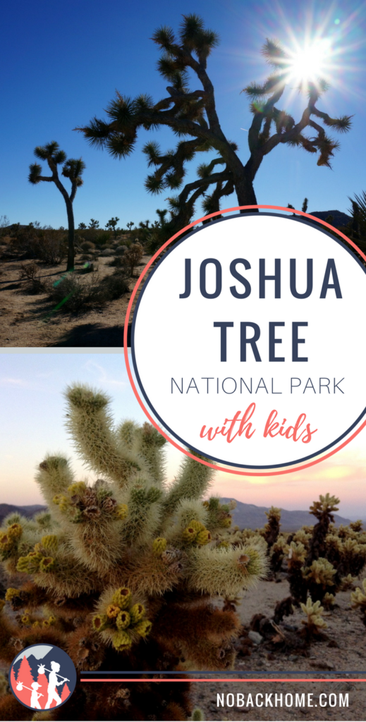 10 Magical Things to Do in Joshua Tree (+ 1 Day Itinerary) - No Back Home