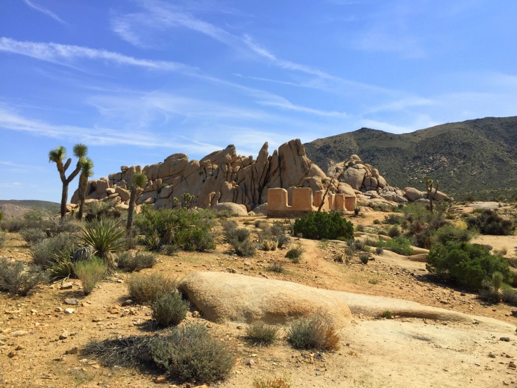 9 Beautiful Joshua Tree Hikes For Unforgettable Views - No Back Home