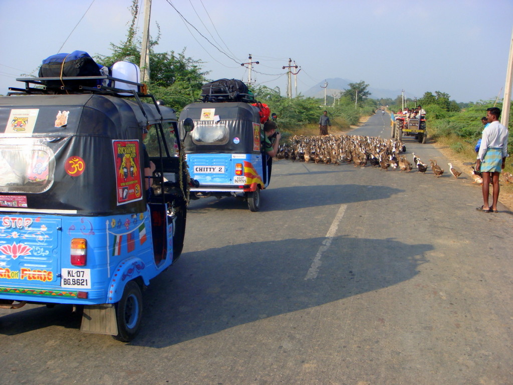 Tips to Survive the Rickshaw Run - No Back Home