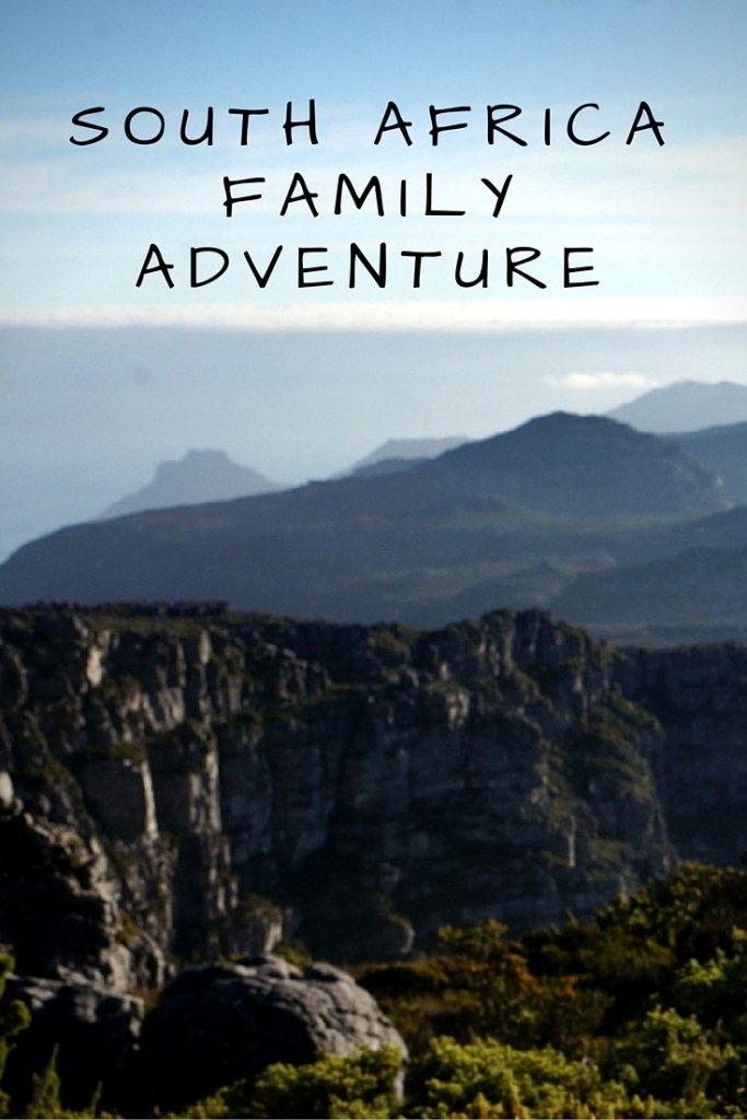 The Most Tremendous Adventure: A Family Trip to South Africa - No Back Home
