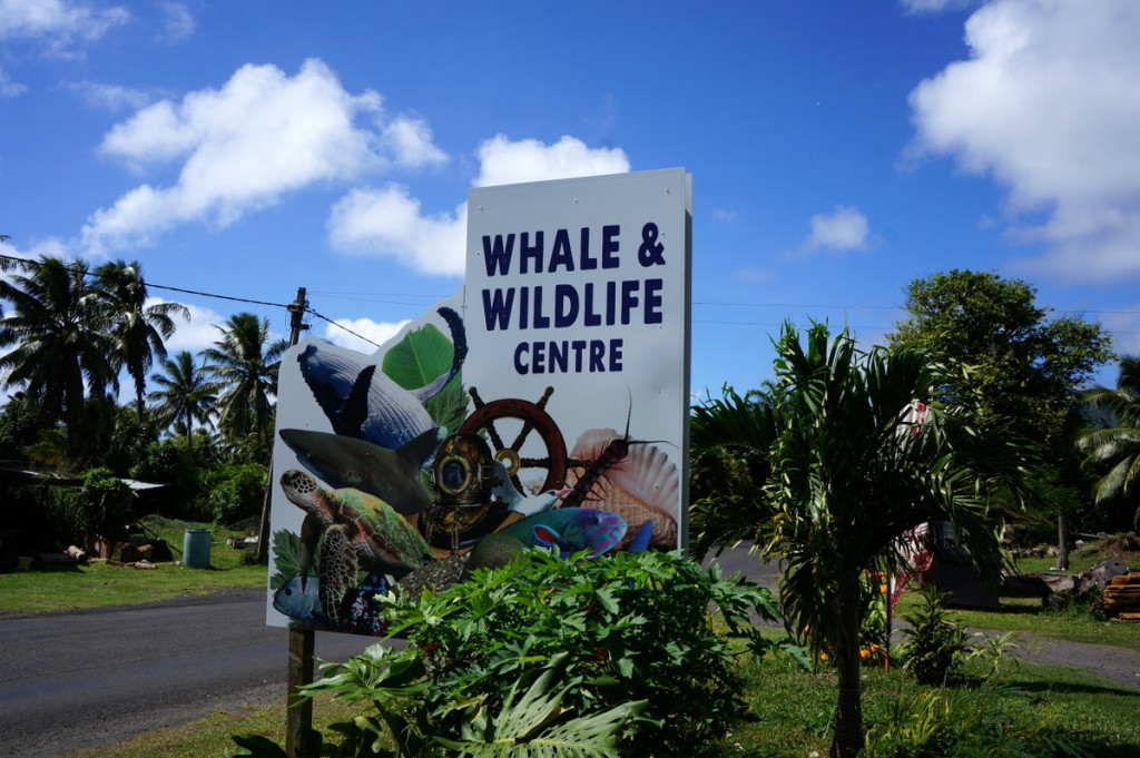 9 Amazing Things to Do on a Cook Islands Vacation with Kids - No Back Home