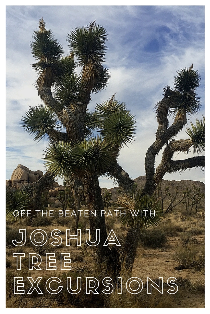 Get off the Beaten Path with Joshua Tree Excursions - No Back Home