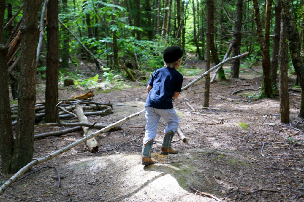 England's Outdoor Secret - Adventure Play Forests - No Back Home