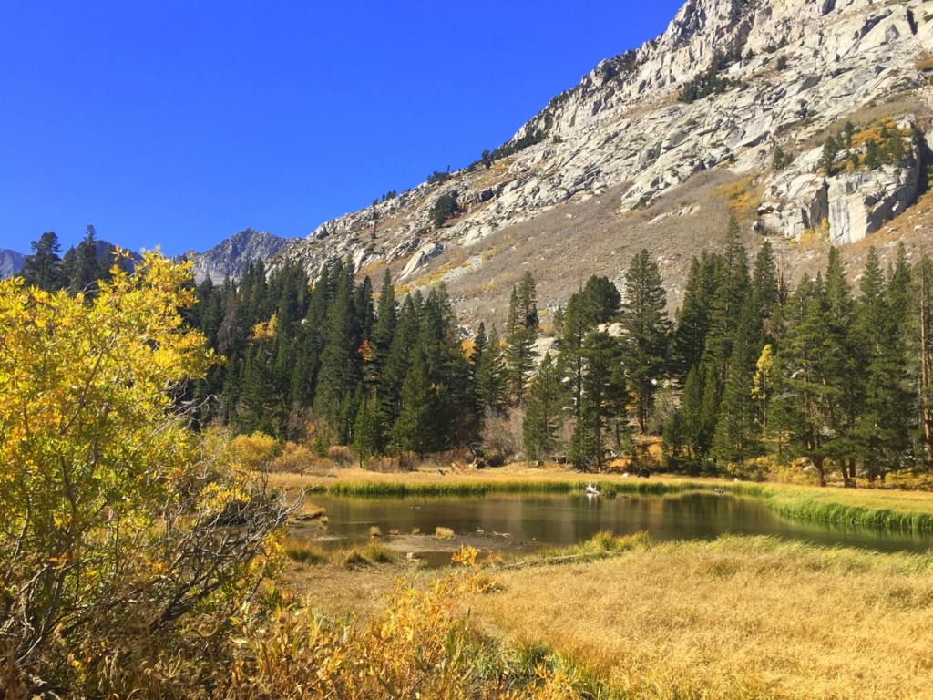 Finding Fall Colors in Bishop, California - No Back Home