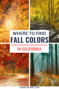 Finding Fall Colors in Bishop, California - No Back Home