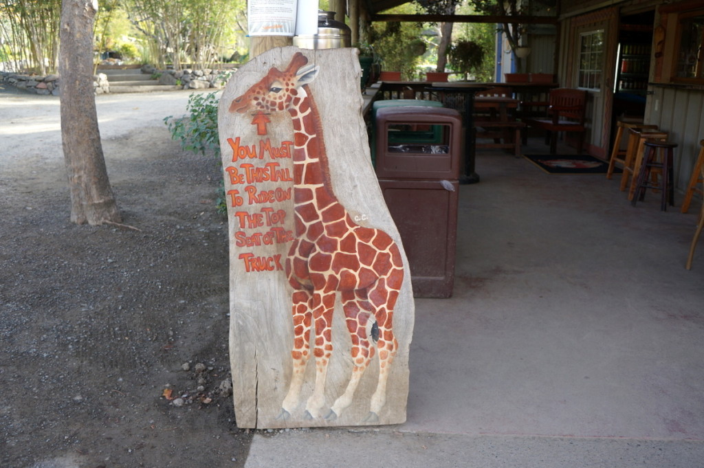 Go on Safari in Santa Rosa, CA - No Back Home