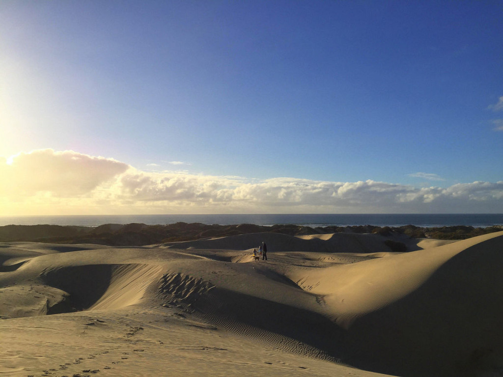 The Essential Guide to Visiting Pismo Beach Sand Dunes - No Back Home
