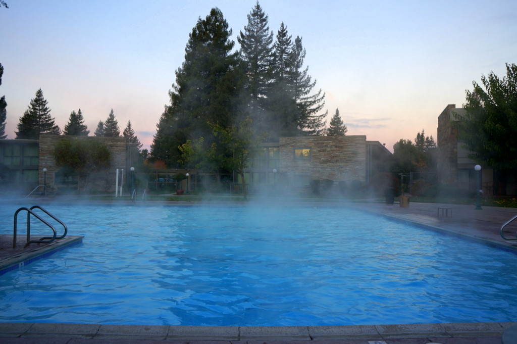 The Flamingo Resort in Santa Rosa : Family Friendly & Budget Conscious ...