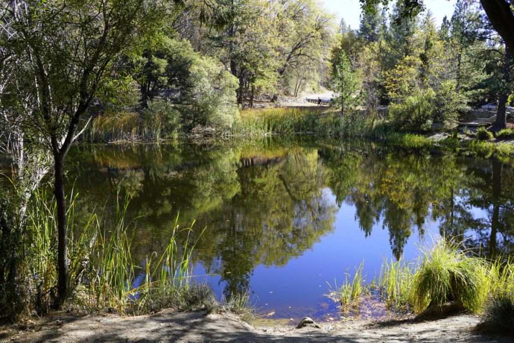 Idyllwild Camping, Glamping & Fun Things to Do - No Back Home