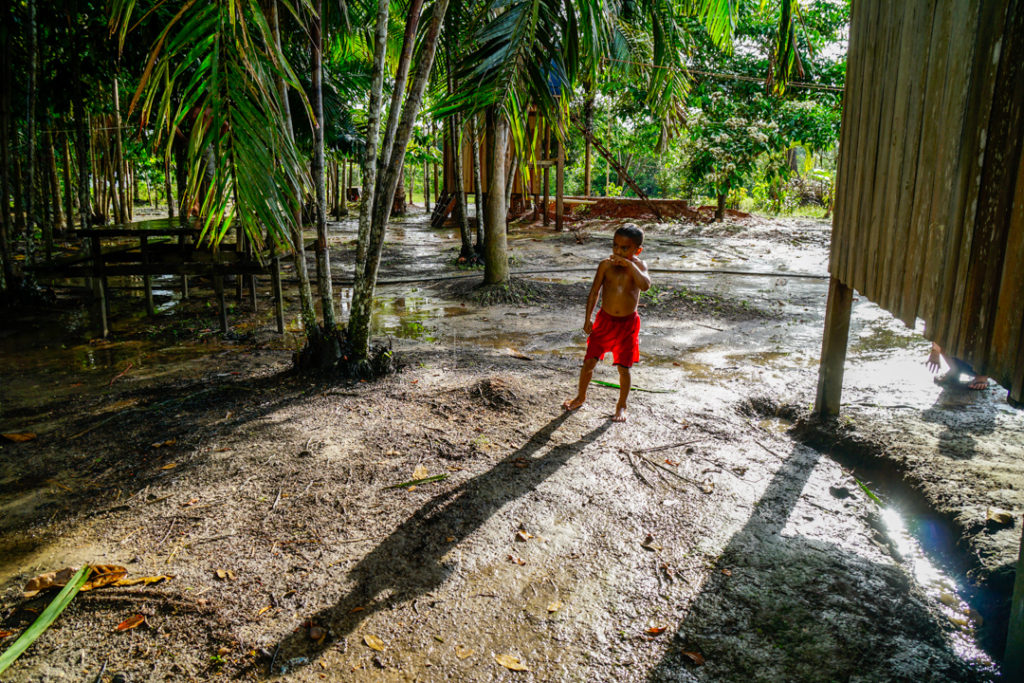 The Dream: An Amazon River Cruise with Kids - No Back Home