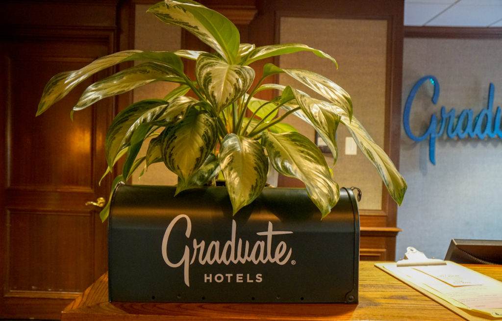 The Graduate Hotel Madison - The Ideal Place to Stay - No Back Home