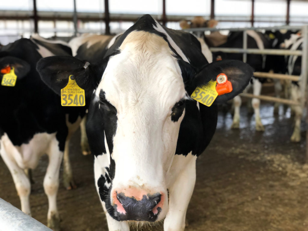 9 Amazingly Fun Things to Do in Madison with Kids - No Back Home