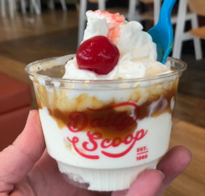 9 Amazingly Fun Things to Do in Madison with Kids - No Back Home