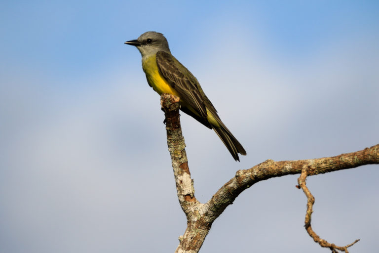 The Best Gamboa Tours with 9 North Panama - No Back Home