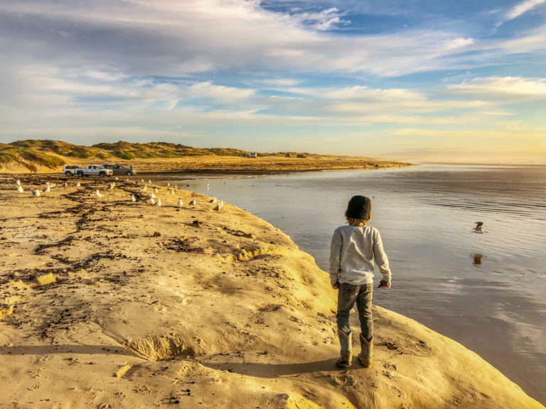 NBH Home - No Back Home