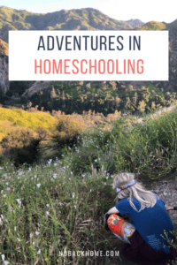 Adventures in Homeschooling - No Back Home