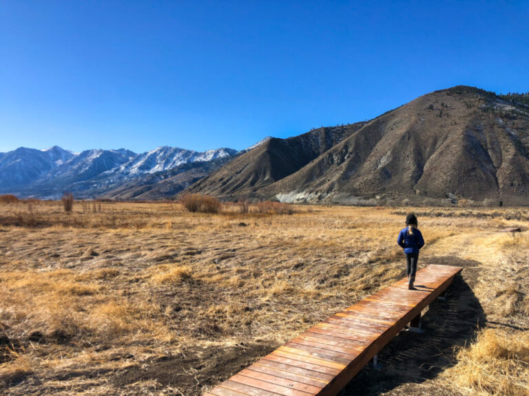 7 Great Things to Do in Carson Valley with Kids - No Back Home