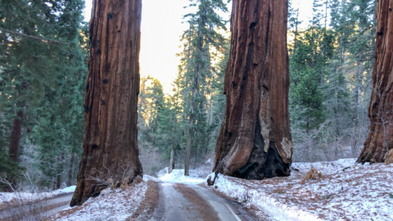 20 Useful Tips For Visiting Sequoia National Park In Winter - No Back Home