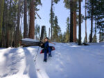 20 Useful Tips For Visiting Sequoia National Park In Winter - No Back Home