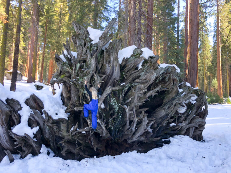 20 Useful Tips For Visiting Sequoia National Park In Winter - No Back Home