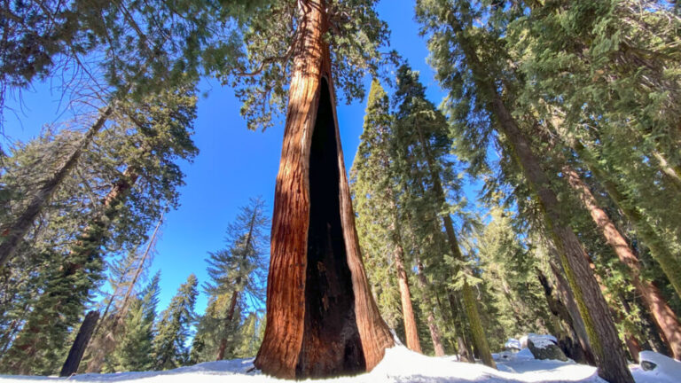 20 Useful Tips For Visiting Sequoia National Park In Winter - No Back Home