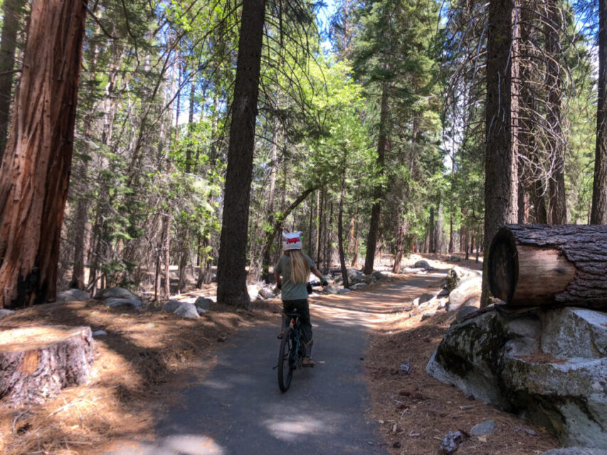 Kings Canyon Camping Advice You Need To Know - No Back Home