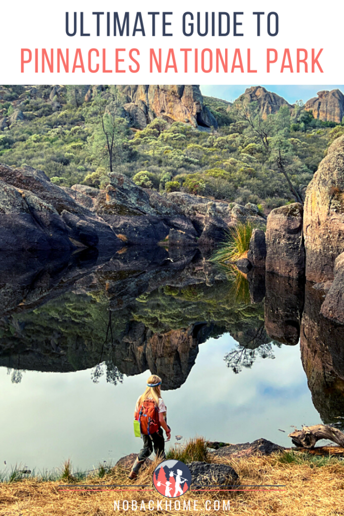 Pinnacles National Park: Everything You Need To Know To Visit - No Back ...
