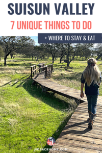 Explore the Suisun Valley: A Vibrant Emerging Family Destination - No ...