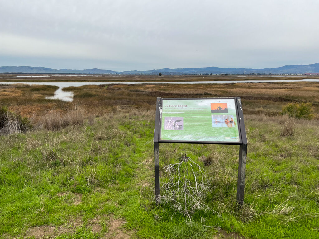 Explore the Suisun Valley: A Vibrant Emerging Family Destination - No ...