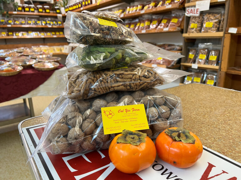 Explore the Suisun Valley: A Vibrant Emerging Family Destination - No ...