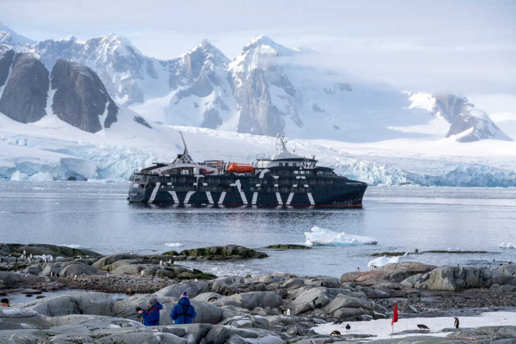 Ultimate Guide on How to Visit Antarctica - No Back Home