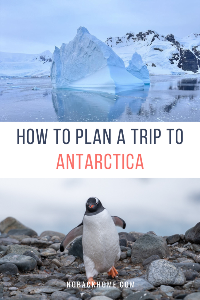 Ultimate Guide on How to Visit Antarctica - No Back Home